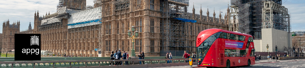 APPG on Working at Height - The Ladder Association